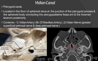 Anatomy of skull base | PPTX