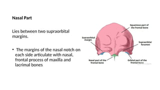 ANATOMY_OF_SKULL_BASE/skull base/surgery | PPTX
