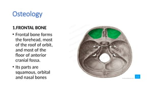 ANATOMY_OF_SKULL_BASE/skull base/surgery | PPTX