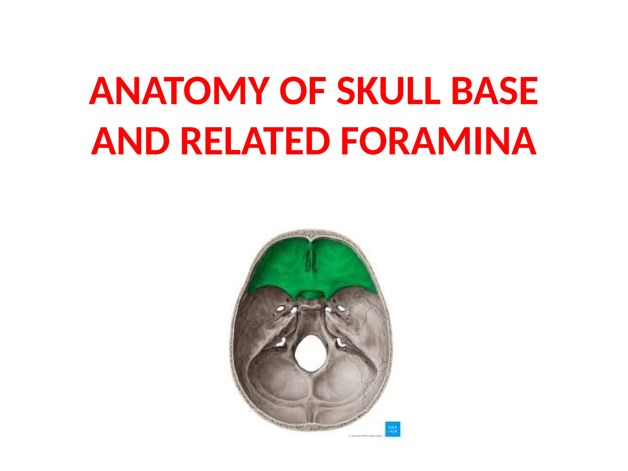 ANATOMY OF SKULL BASE AND RELATED FORAMINA.pptx