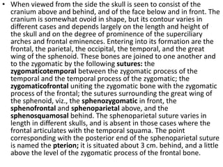 Anatomy of skull by RW.. | PPTX
