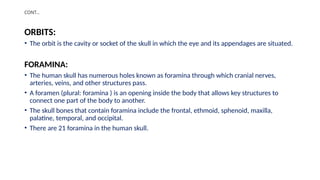 ANATOMY OF SKULL,VERTEBRAE,MENINGES F.pptx