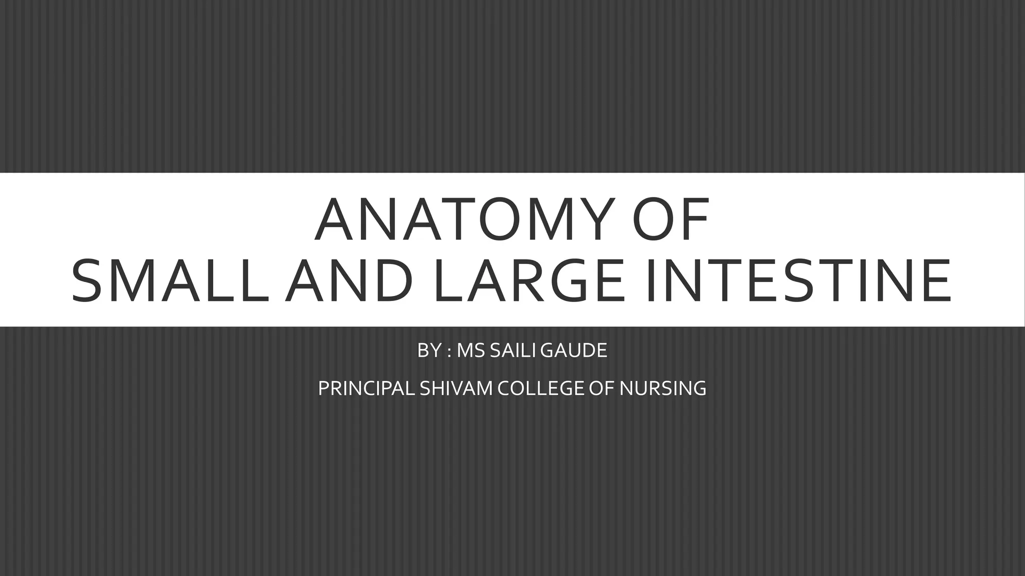 ANATOMY OF SMALL INTESTINE -presentation | PPTX