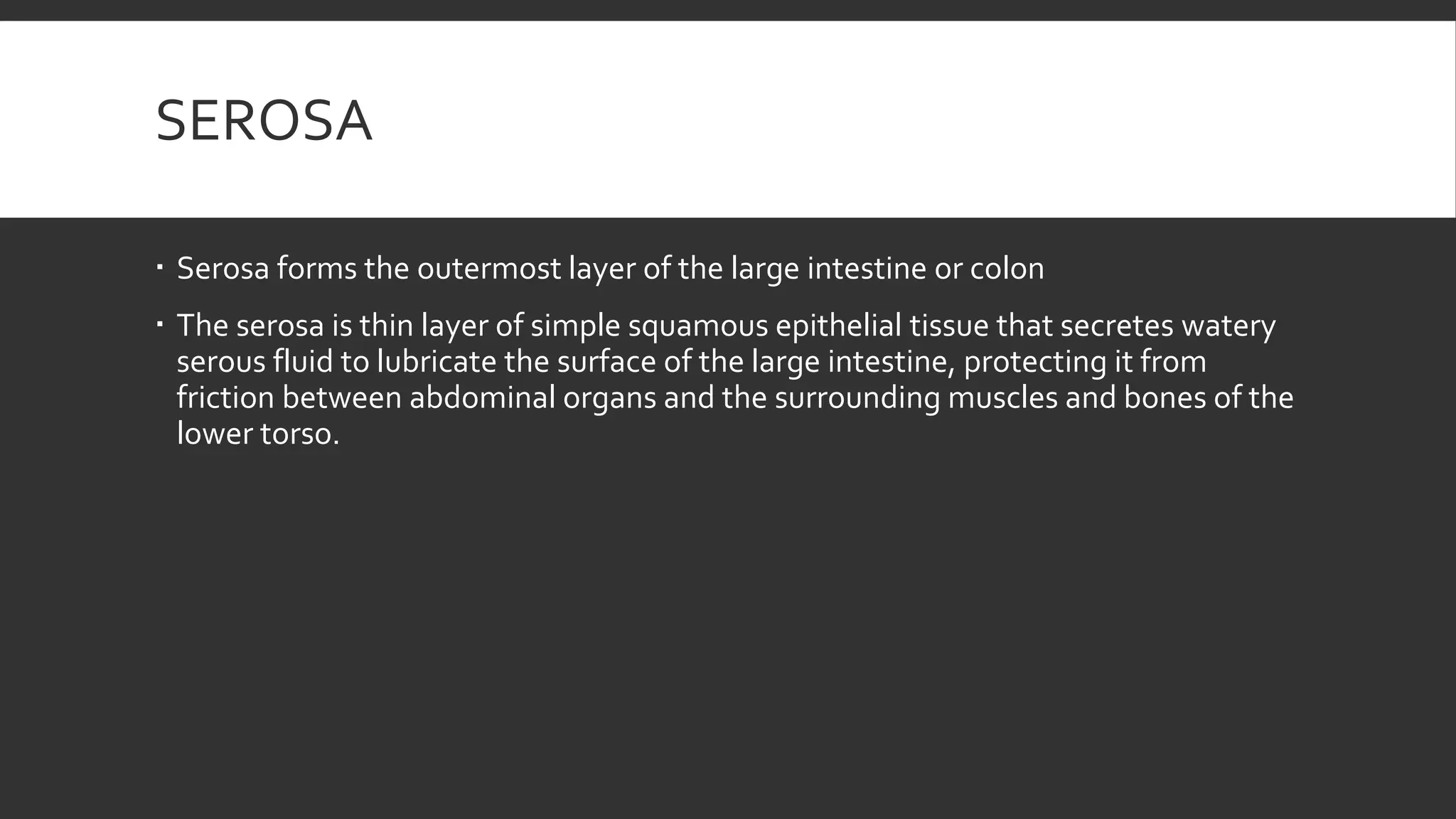 ANATOMY OF SMALL INTESTINE -presentation | PPTX