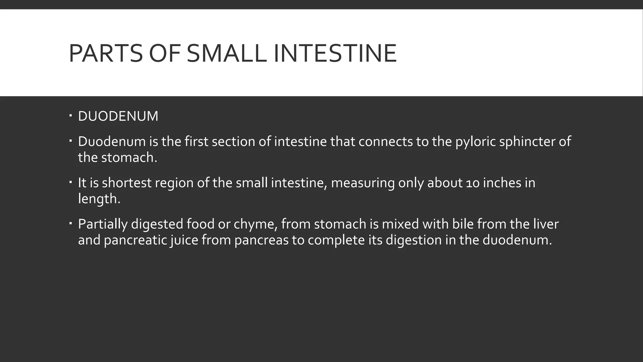ANATOMY OF SMALL INTESTINE -presentation | PPTX