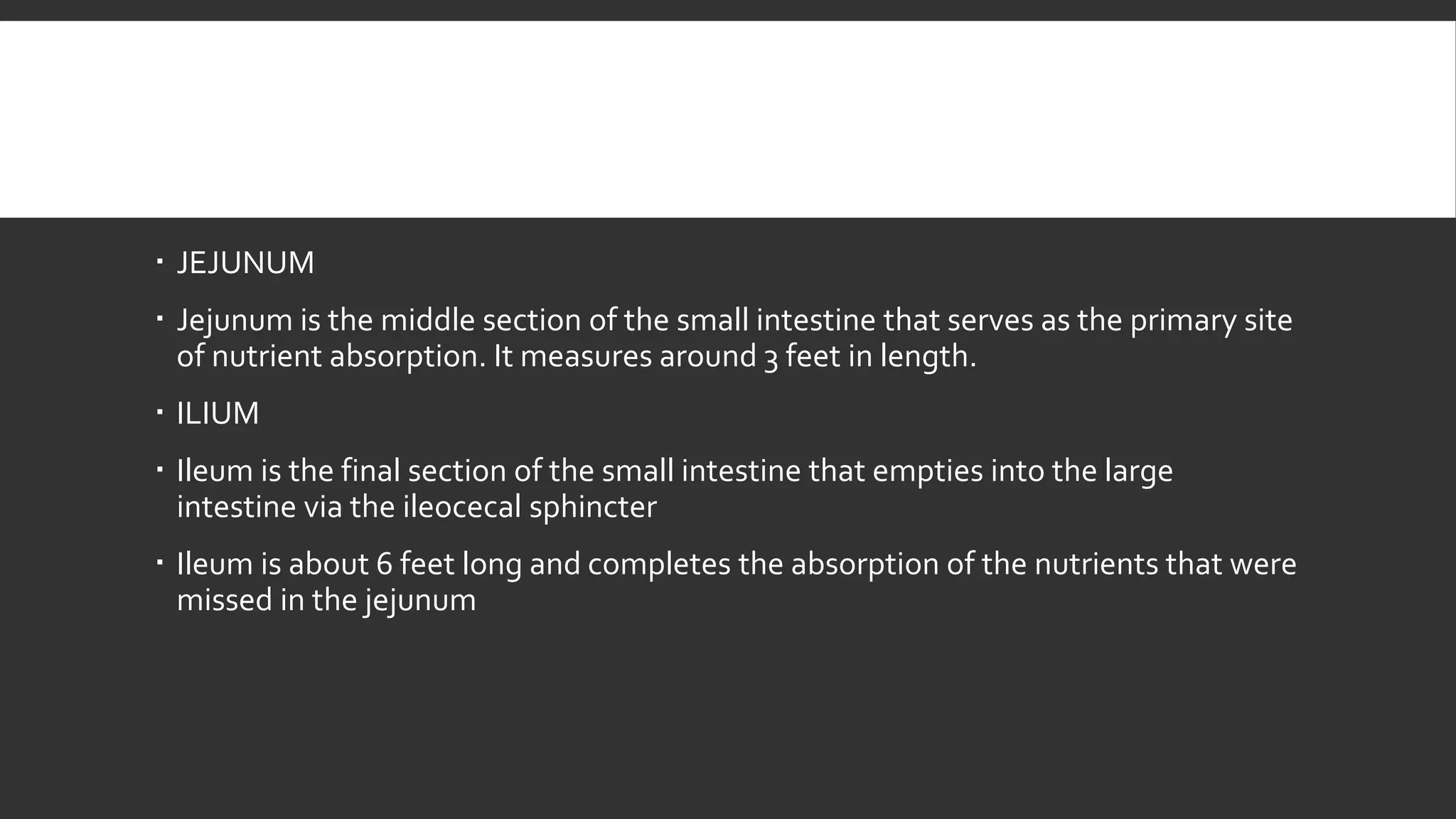 ANATOMY OF SMALL INTESTINE -presentation | PPTX