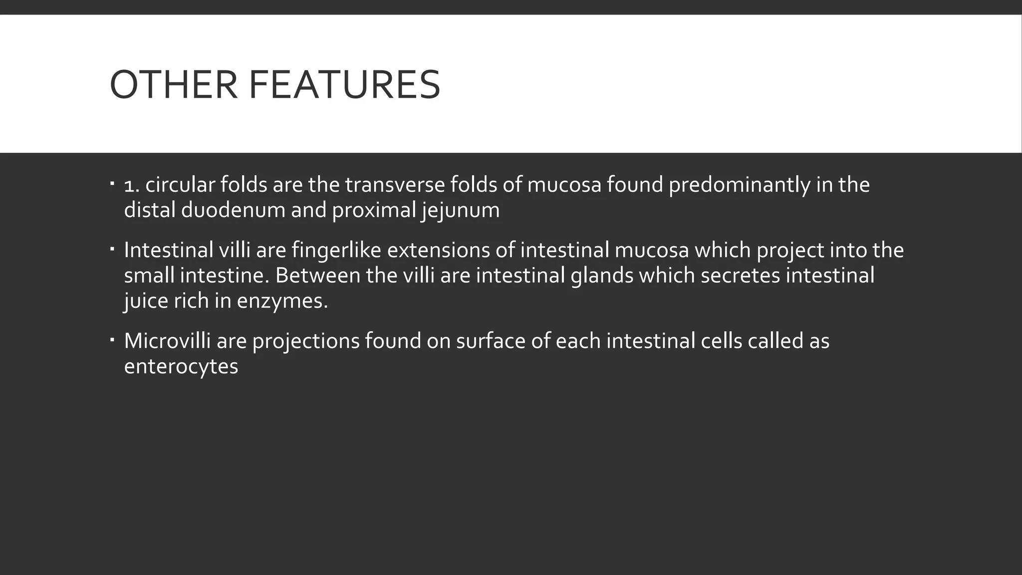 ANATOMY OF SMALL INTESTINE -presentation | PPTX
