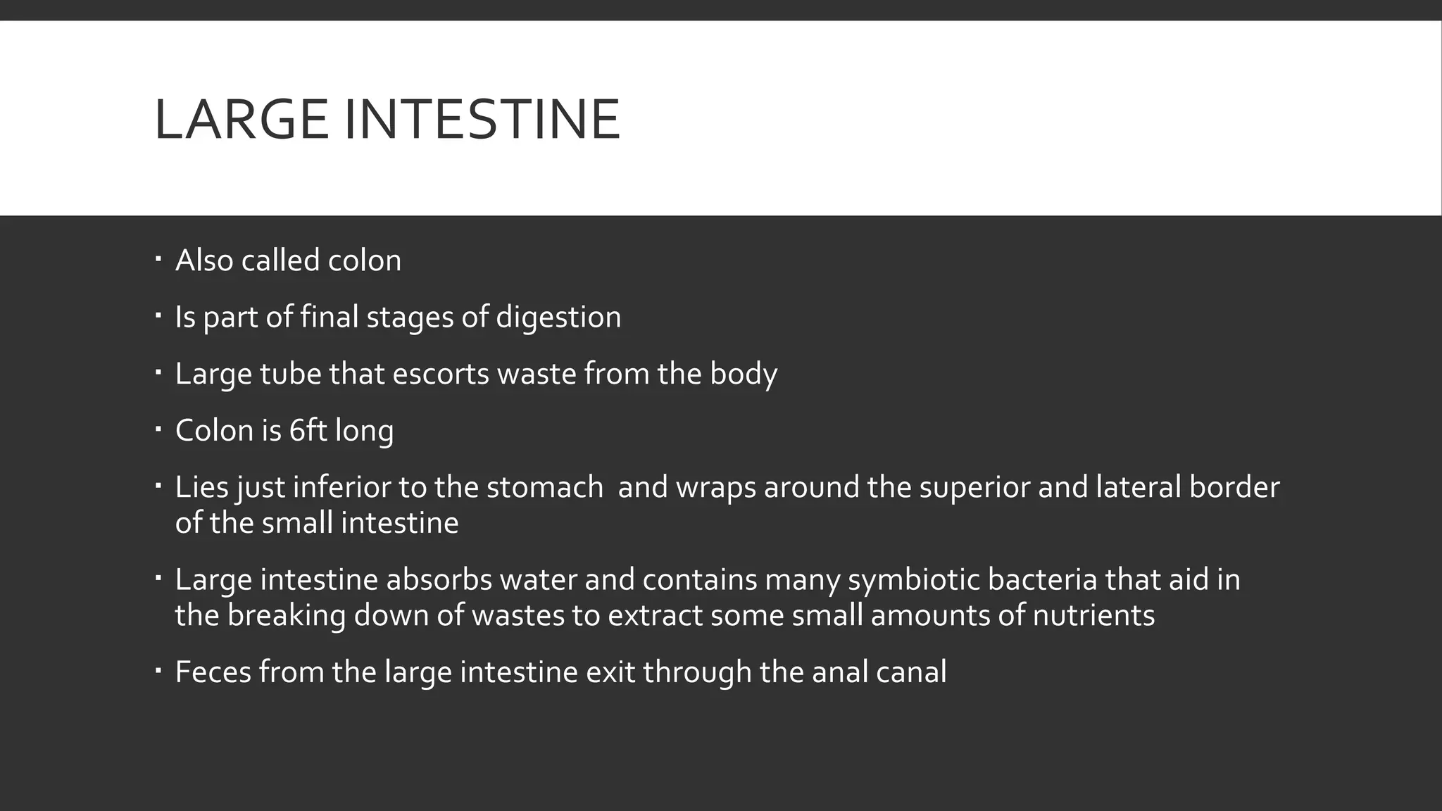 ANATOMY OF SMALL INTESTINE -presentation | PPTX