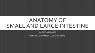 ANATOMY OF SMALL INTESTINE -presentation | PPTX