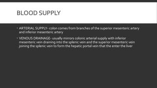ANATOMY OF SMALL INTESTINE -presentation | PPTX