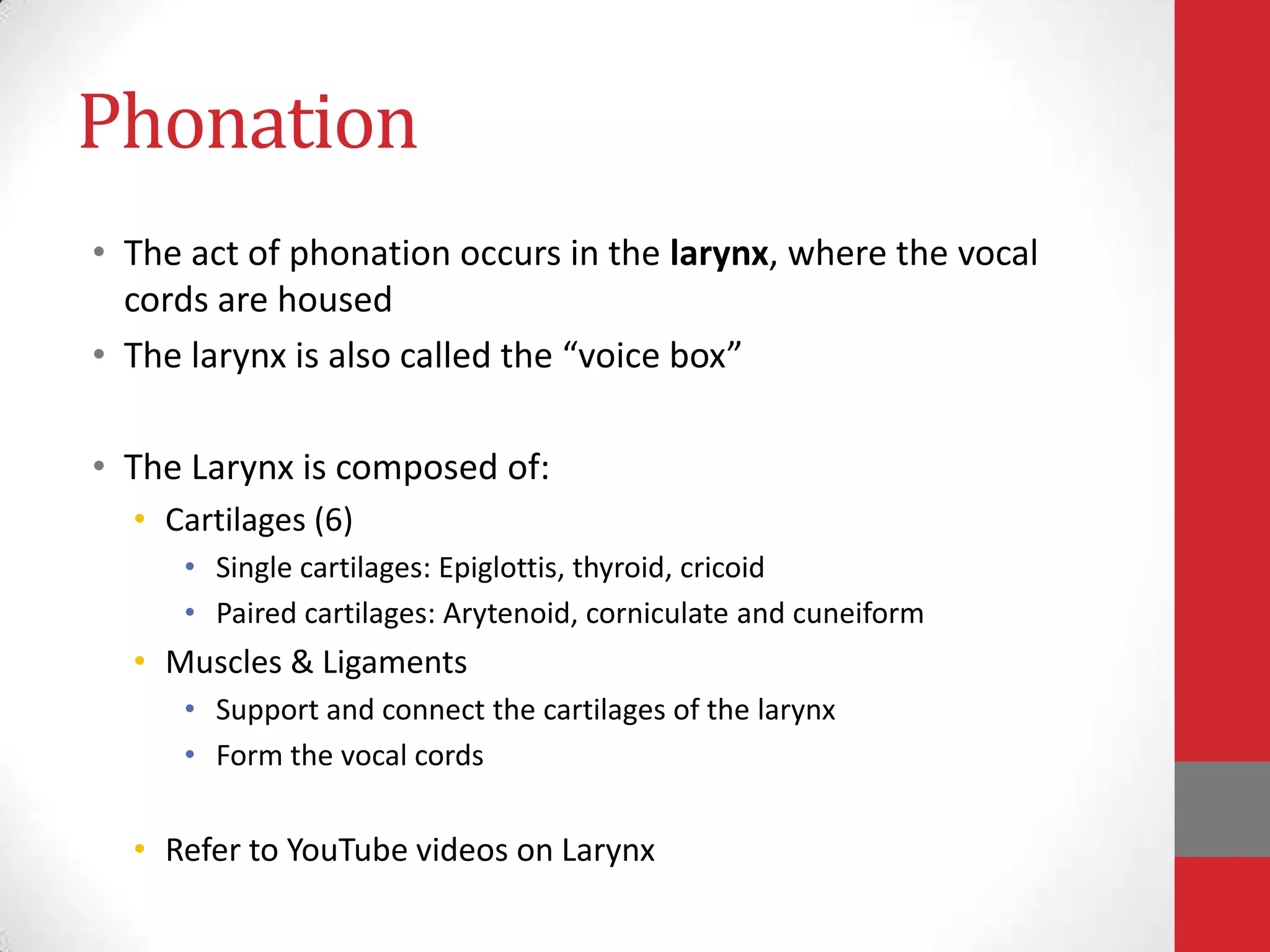 Anatomy of speech production | PPTX