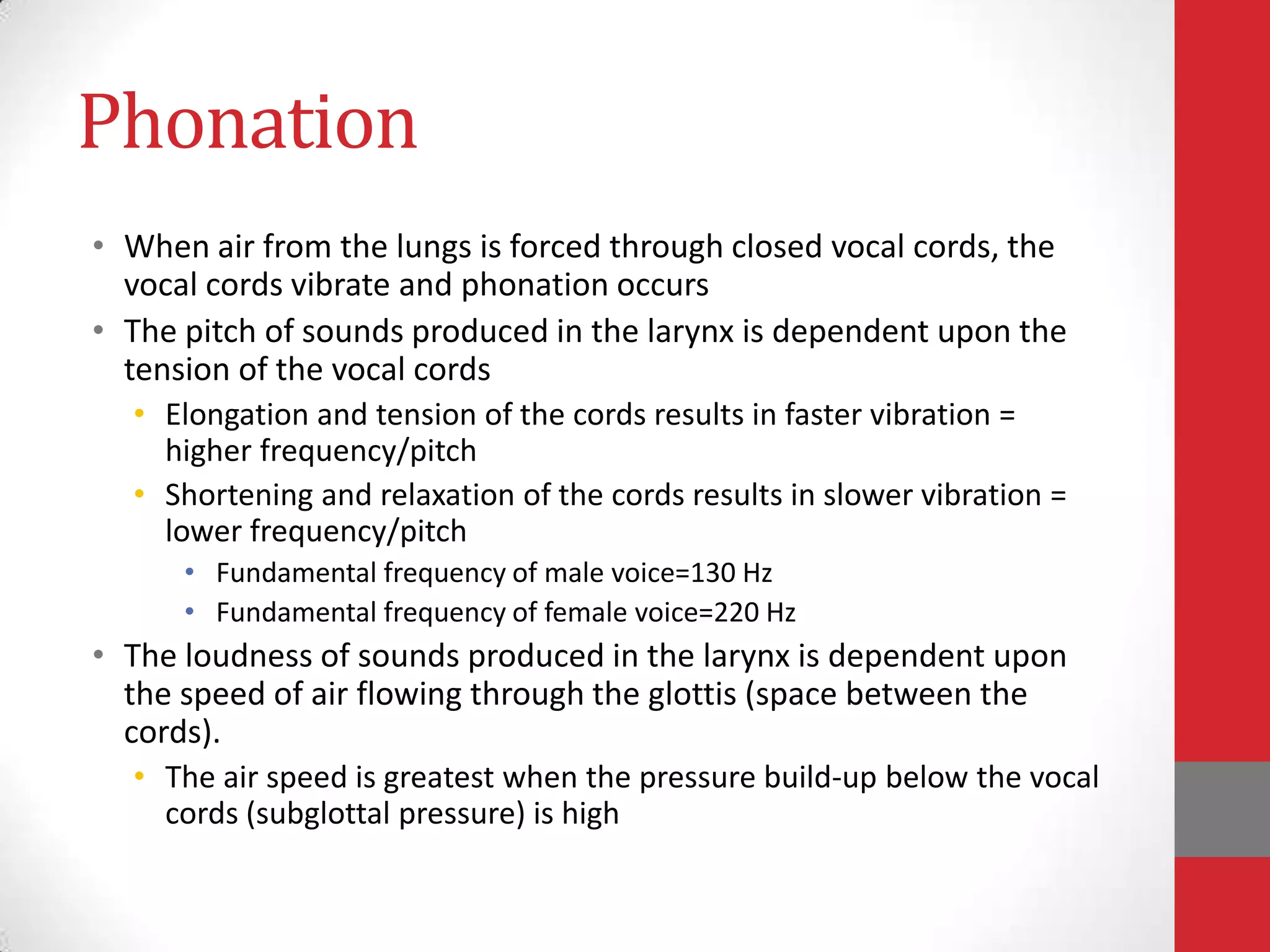 Anatomy of speech production | PPTX