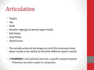 Anatomy of speech production | PPTX
