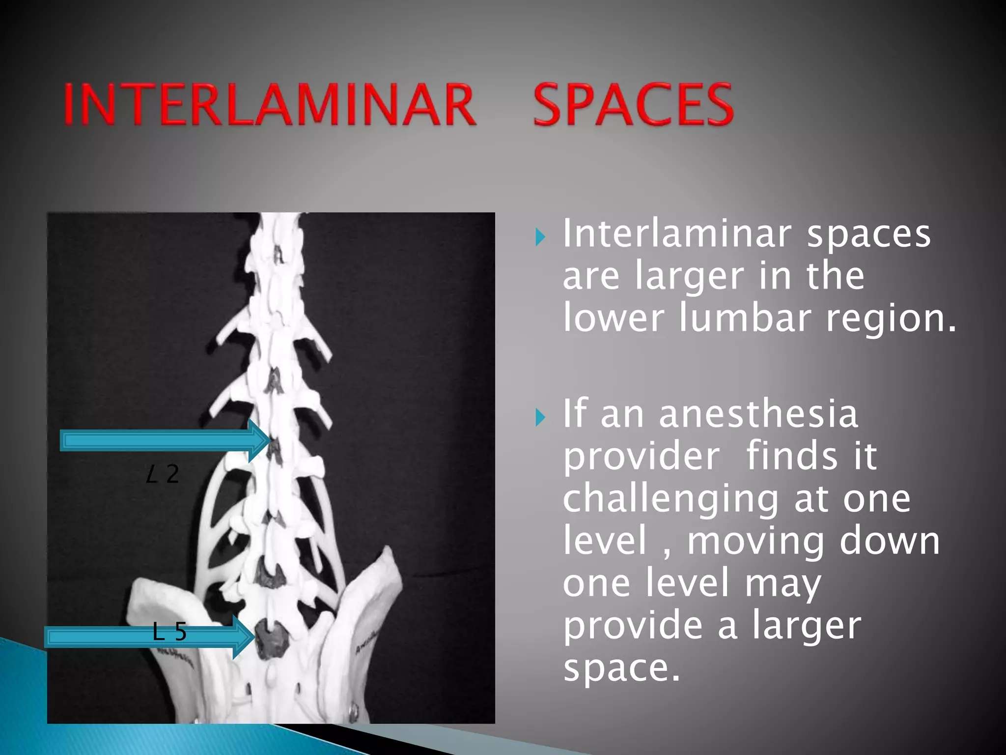 Anatomy of spine for spinal anaesthesia | PPTX