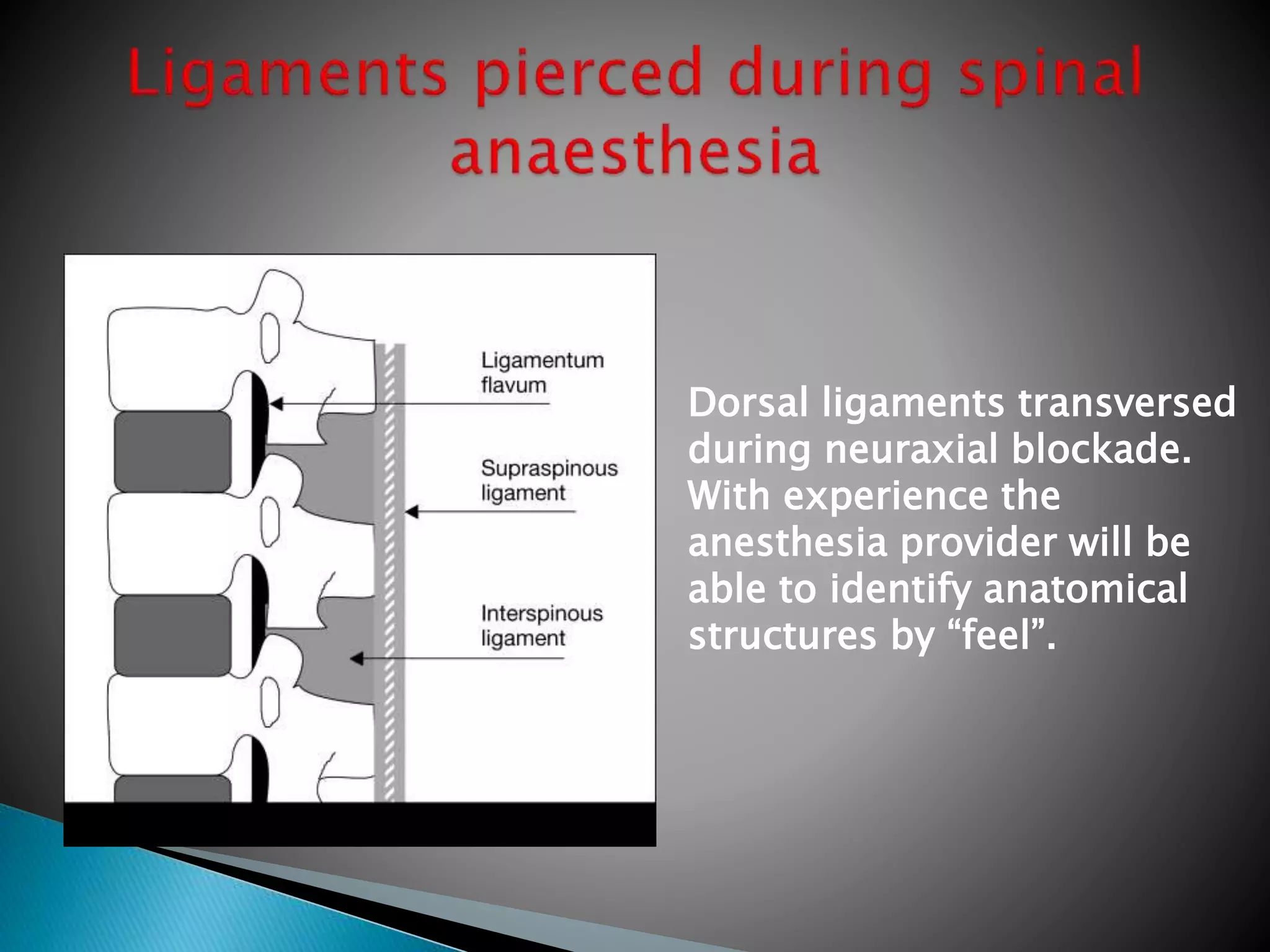 Anatomy of spine for spinal anaesthesia | PPTX