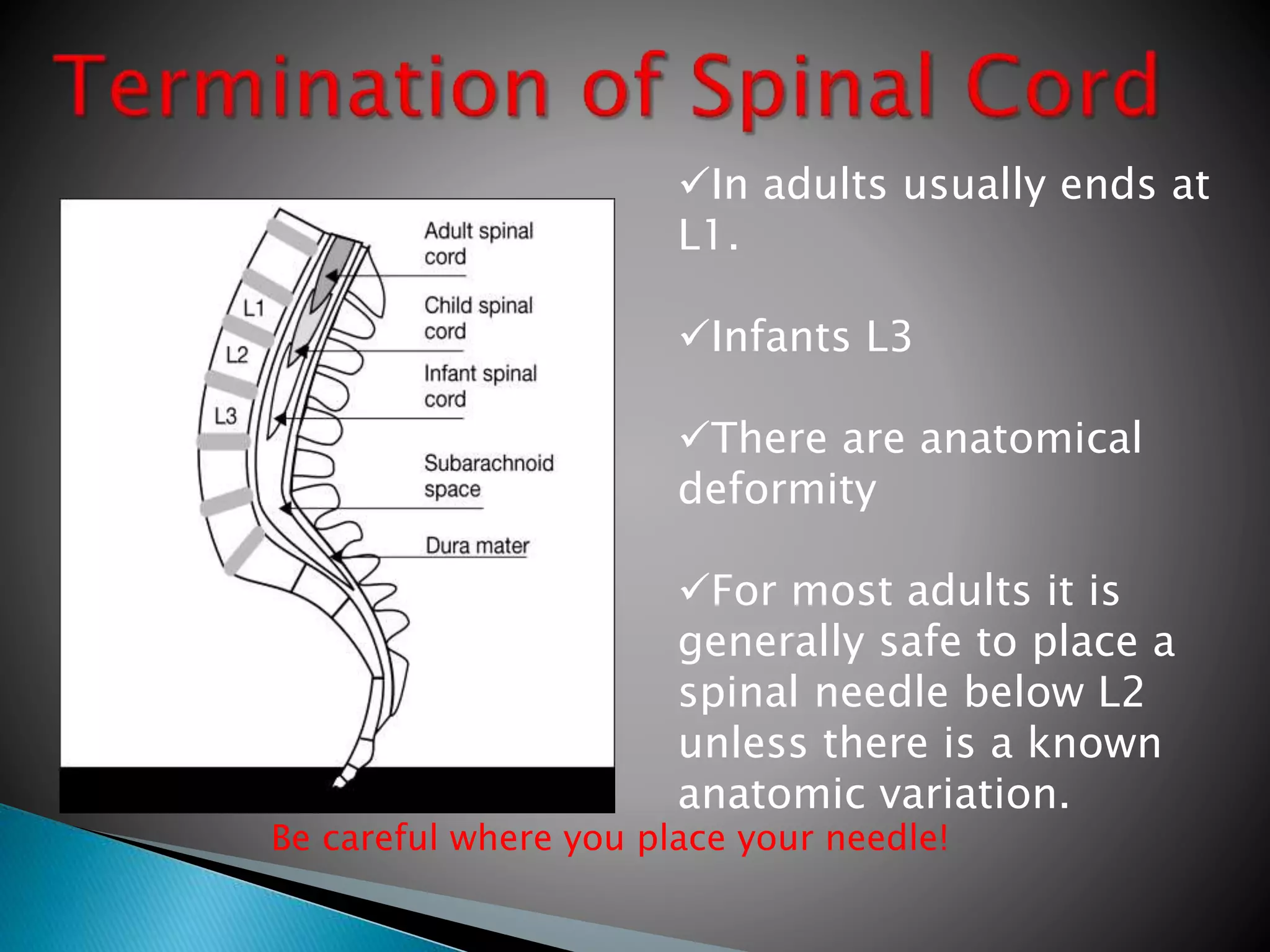 Anatomy of spine for spinal anaesthesia | PPTX