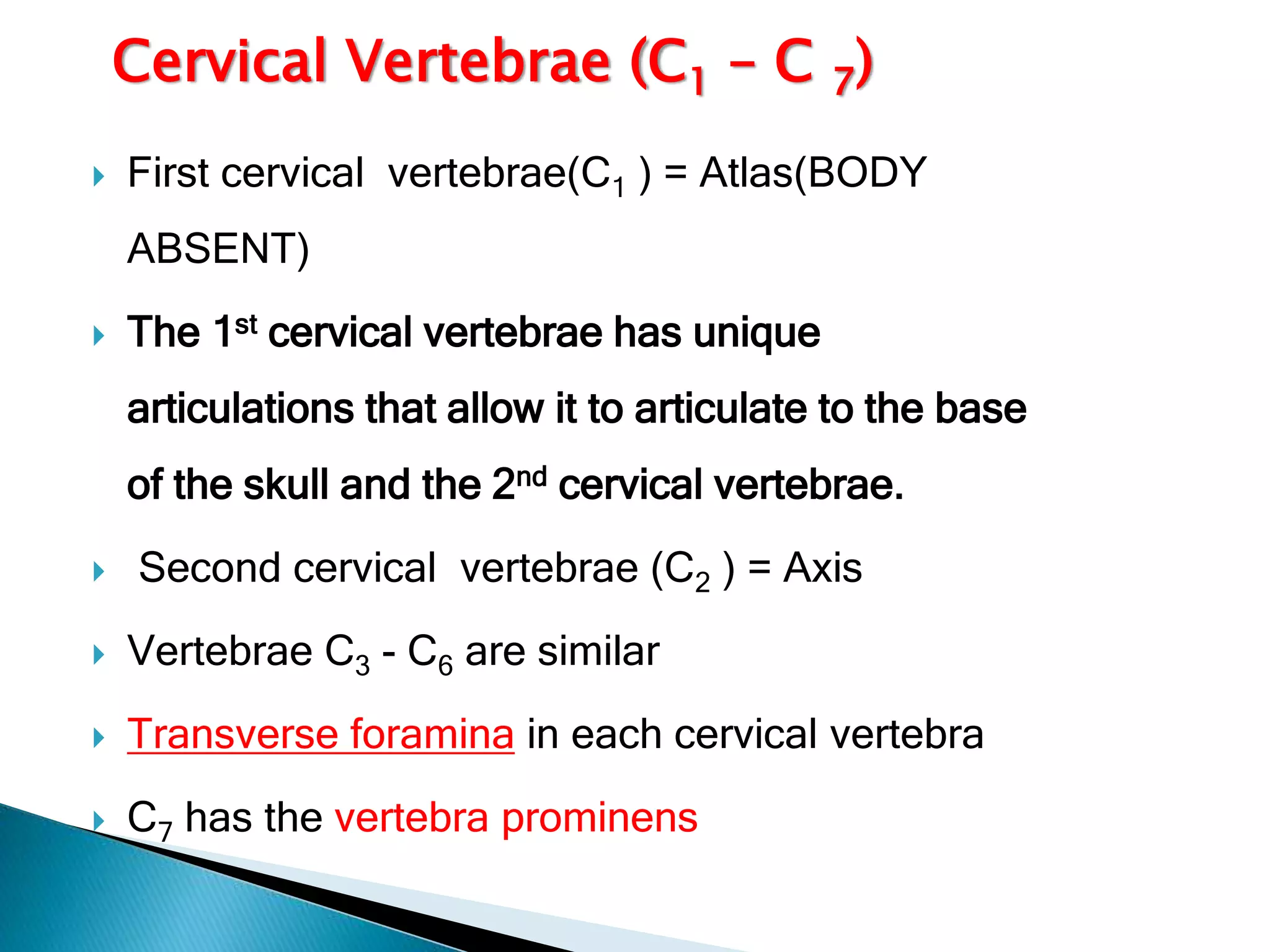 Anatomy of spine for spinal anaesthesia | PPTX