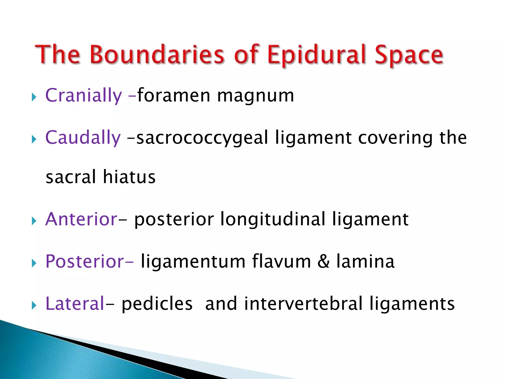 Anatomy of spine for spinal anaesthesia | PPTX