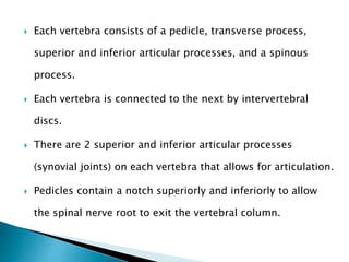 Anatomy of spine for spinal anaesthesia | PPTX