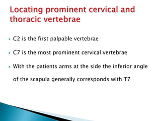 Anatomy of spine for spinal anaesthesia | PPTX