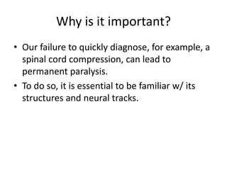 Anatomy of spinal cord | PPTX