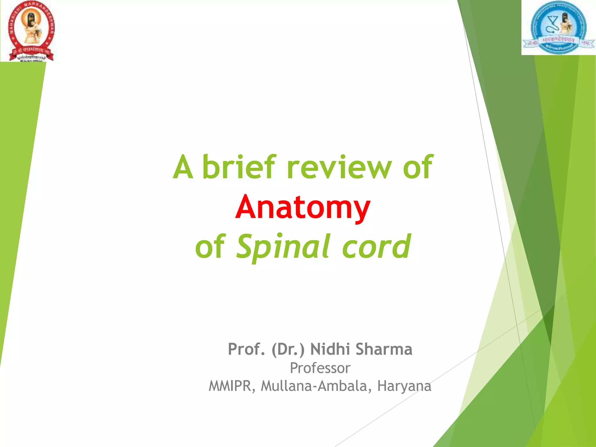 Anatomy of spinal cord.ppt