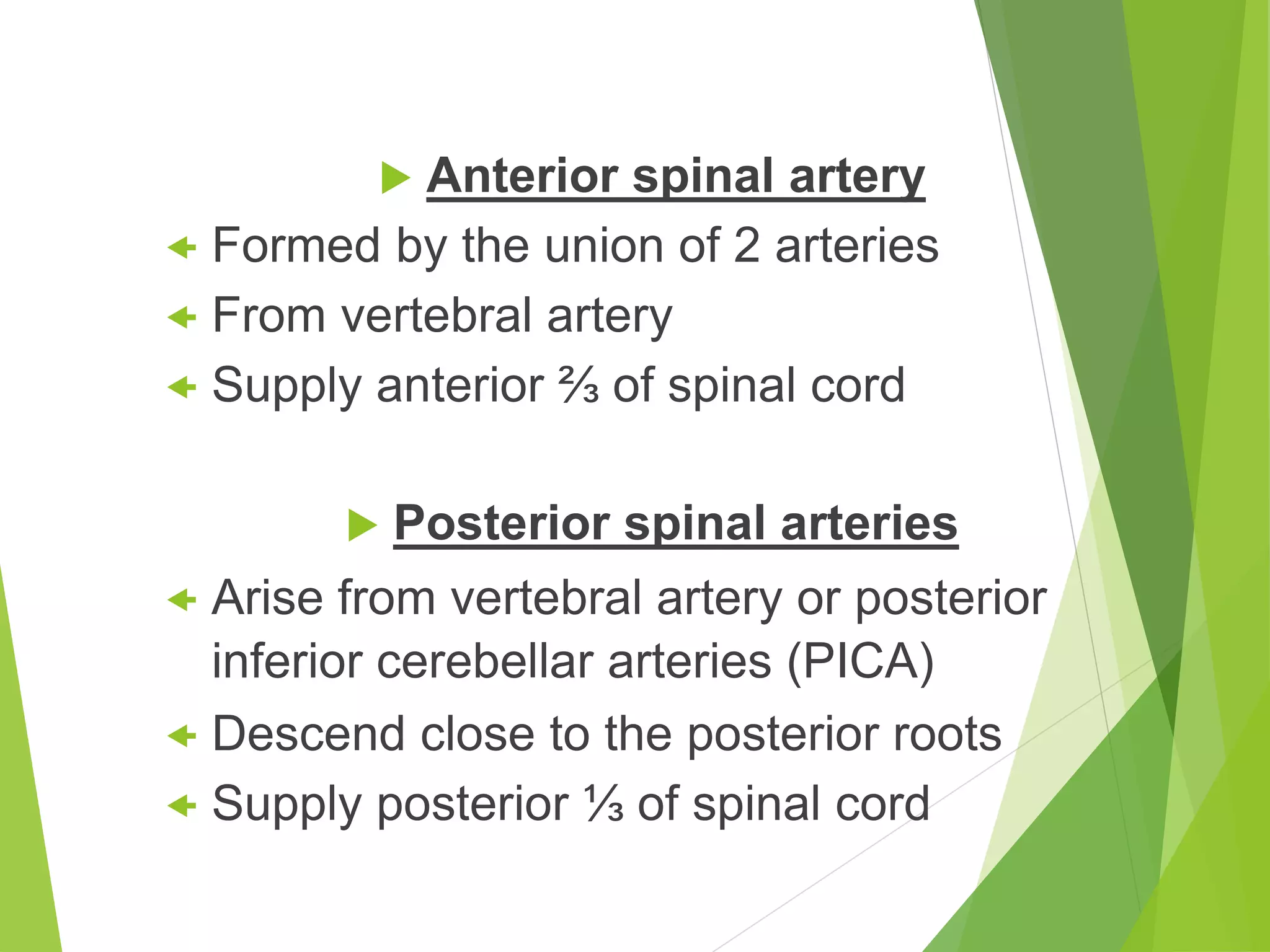 Anatomy of spinal cord.ppt