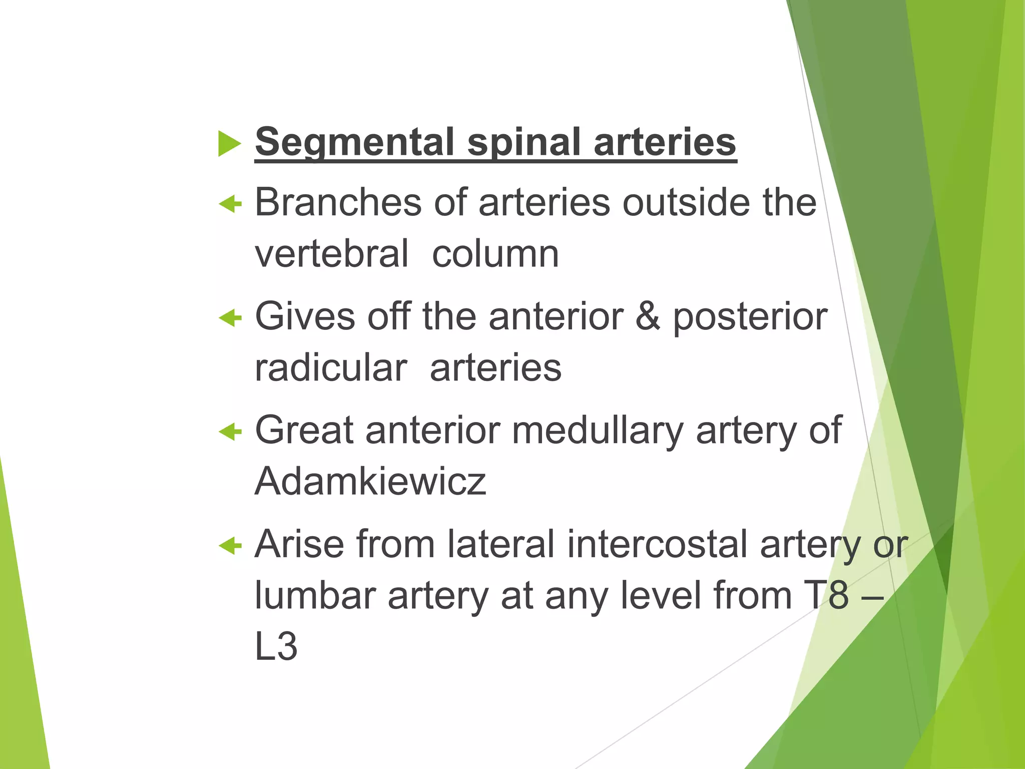 Anatomy of spinal cord.ppt