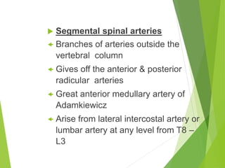 Anatomy of spinal cord.ppt