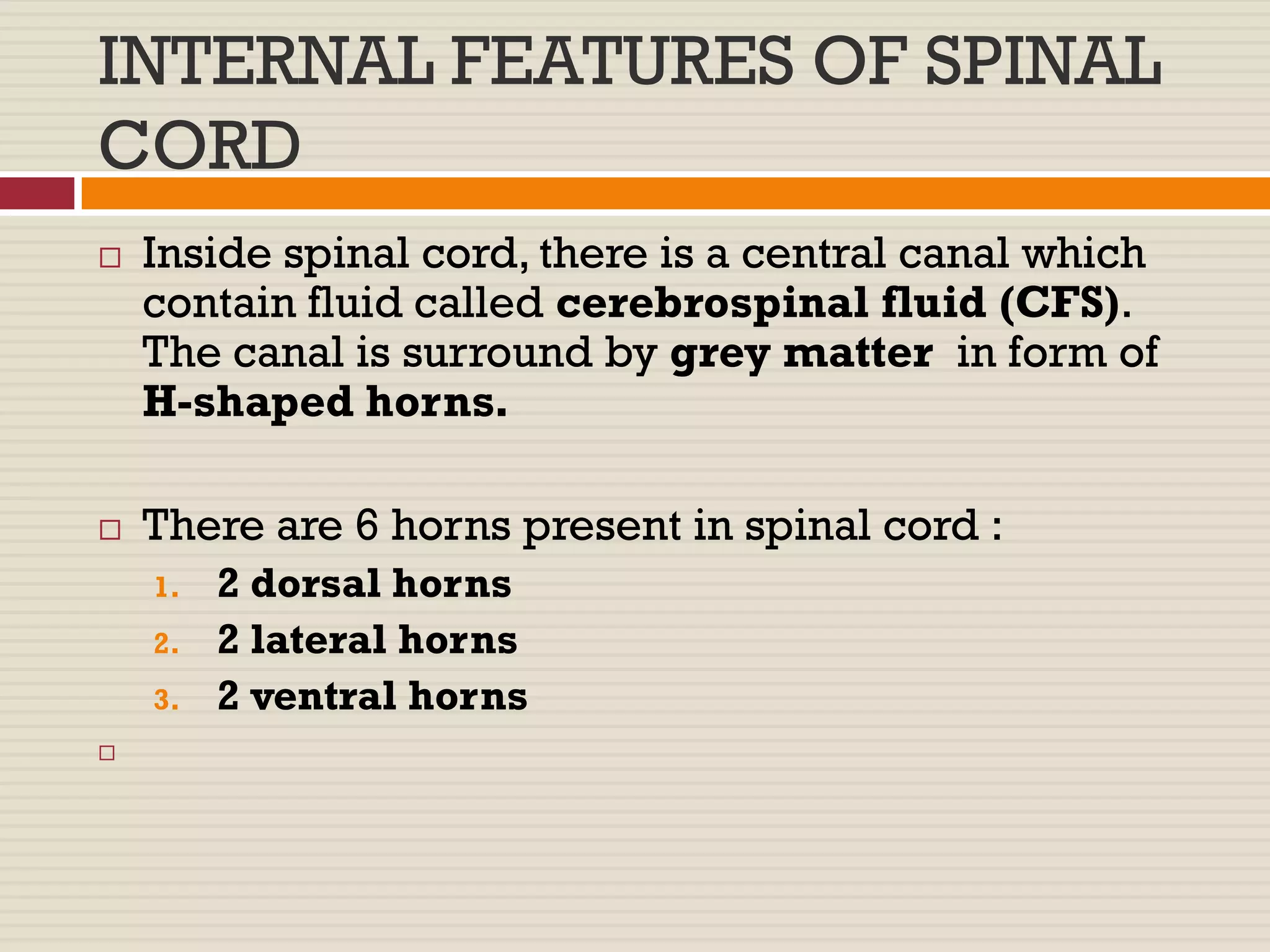 Anatomy of Spinal Cord.pdf