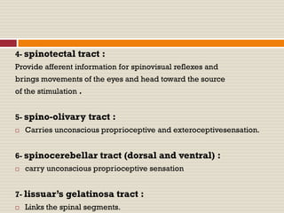 Anatomy of Spinal Cord.pdf