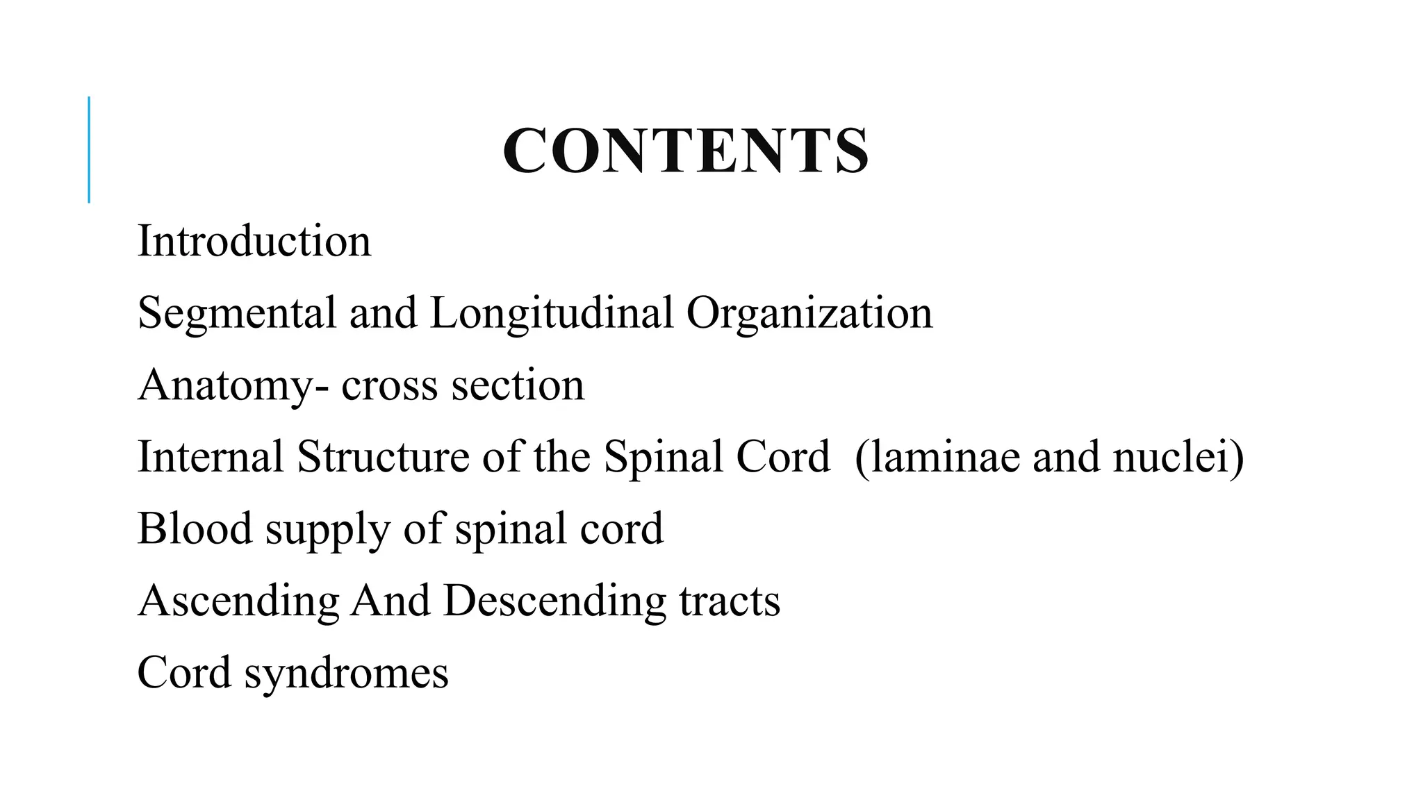The external and internal anatomy of the spinalcord | PPTX