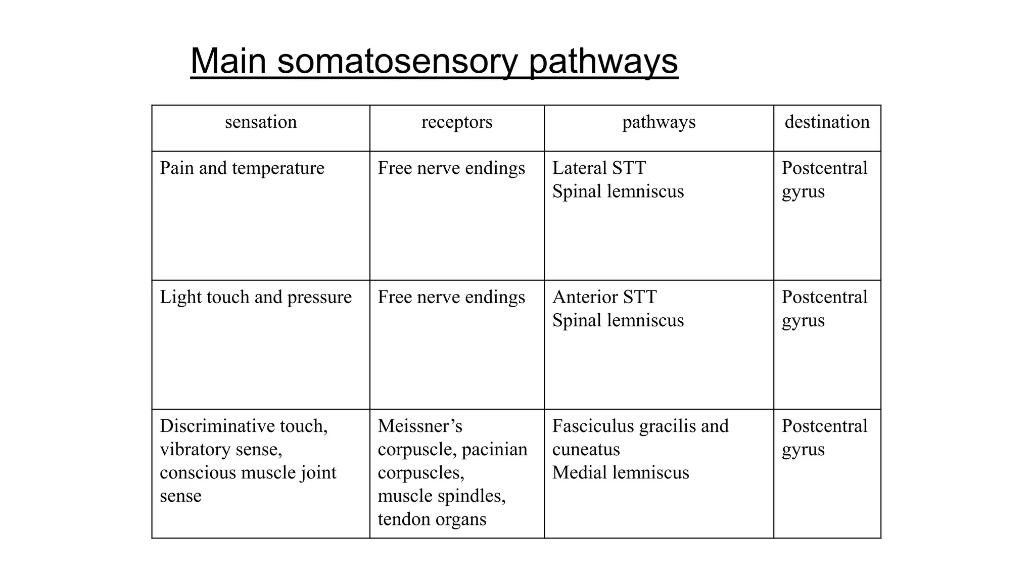 The external and internal anatomy of the spinalcord | PPTX
