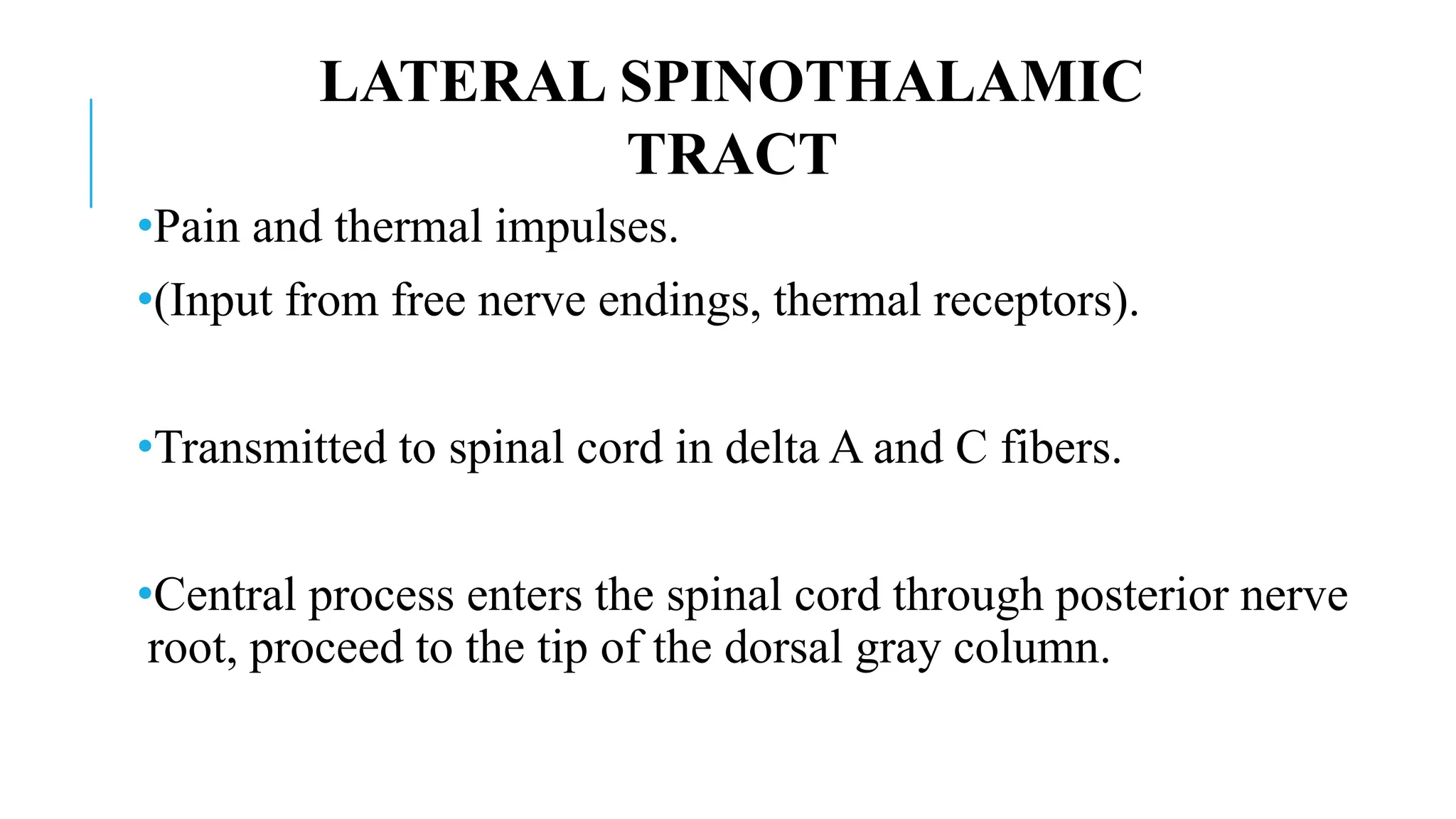 The external and internal anatomy of the spinalcord | PPTX