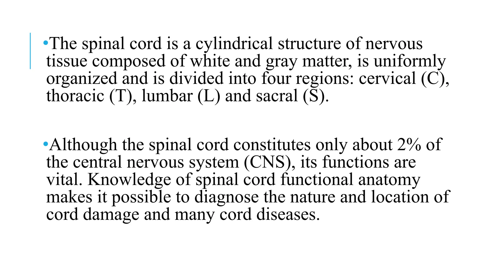 The external and internal anatomy of the spinalcord | PPTX
