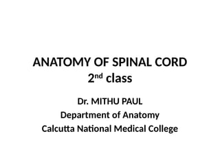 ANATOMY OF THE SPINAL_CORD_2.pptx,DR.MITHU PAUL,ASST PROFESSOR,MMC | PPTX
