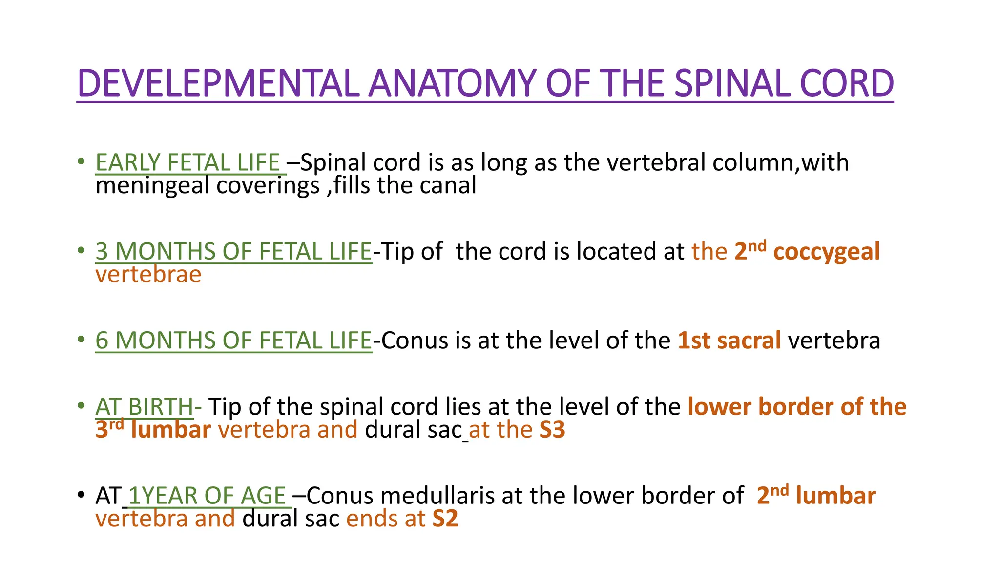 ANATOMY OF SPINAL CORD AND VERTEBRAL COLOUMN ,.pptx