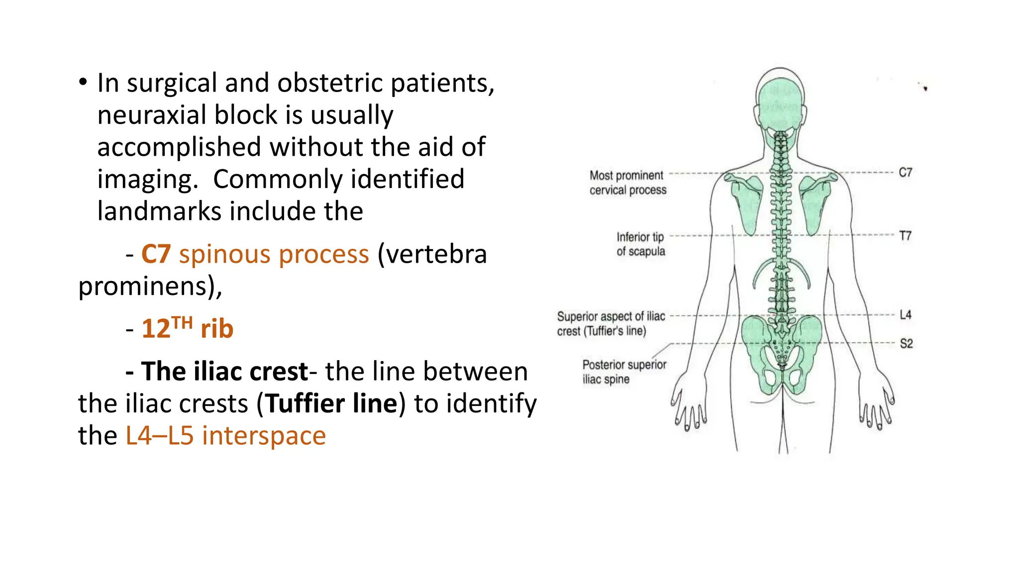 ANATOMY OF SPINAL CORD AND VERTEBRAL COLOUMN ,.pptx