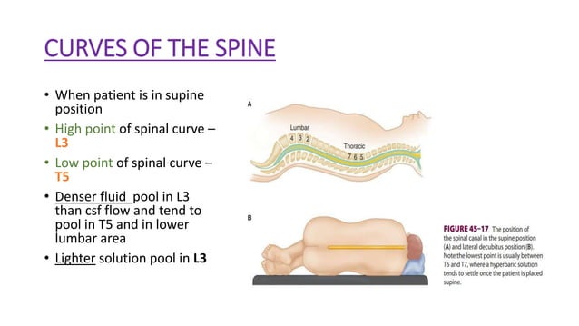 ANATOMY OF SPINAL CORD AND VERTEBRAL COLOUMN ,.pptx