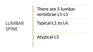 ANATOMY OF SPINAL CORD AND VERTEBRAL COLUMN.pptx