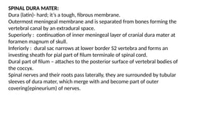 ANATOMY OF SPINAL CORD AND VERTEBRAL COLUMN.pptx