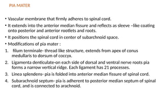 ANATOMY OF SPINAL CORD AND VERTEBRAL COLUMN.pptx