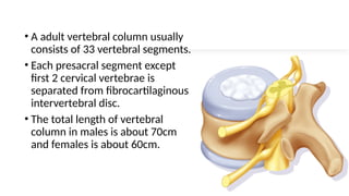 ANATOMY OF SPINAL CORD AND VERTEBRAL COLUMN.pptx
