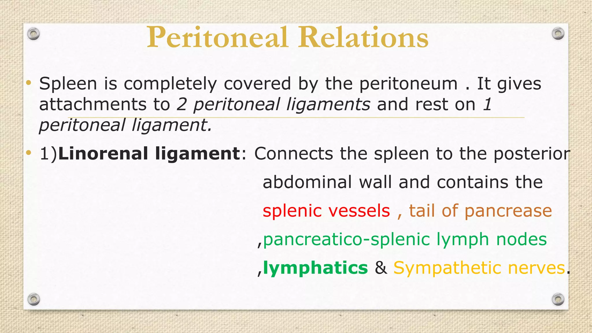 Anatomy of spleen | PPTX