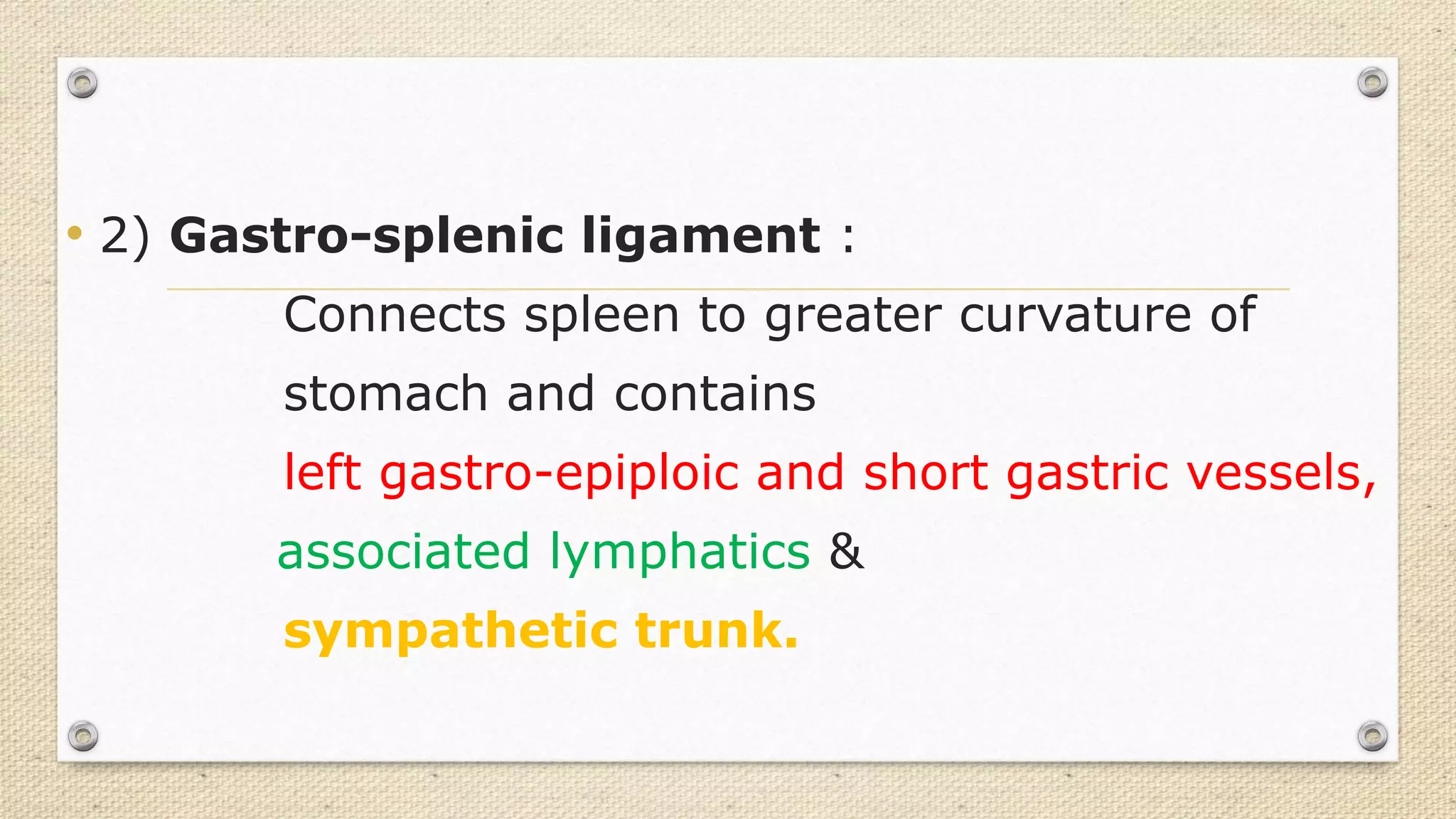 Anatomy of spleen | PPTX