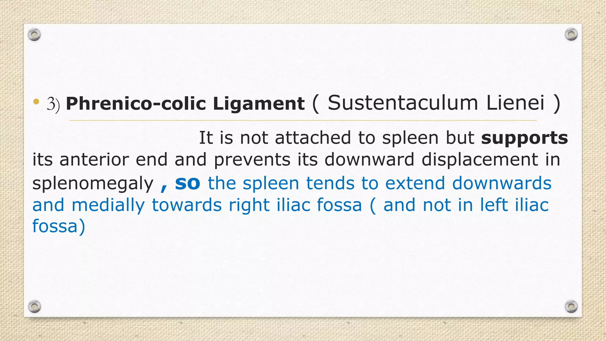 Anatomy of spleen | PPTX