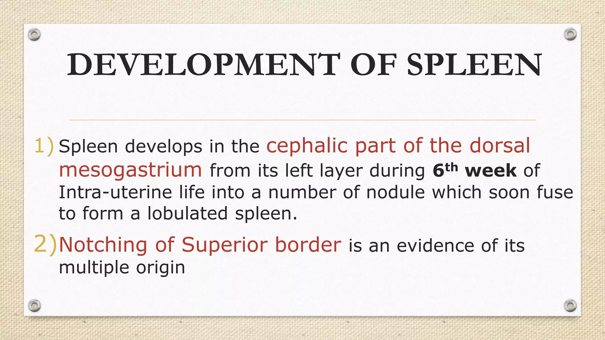 Anatomy of spleen | PPTX