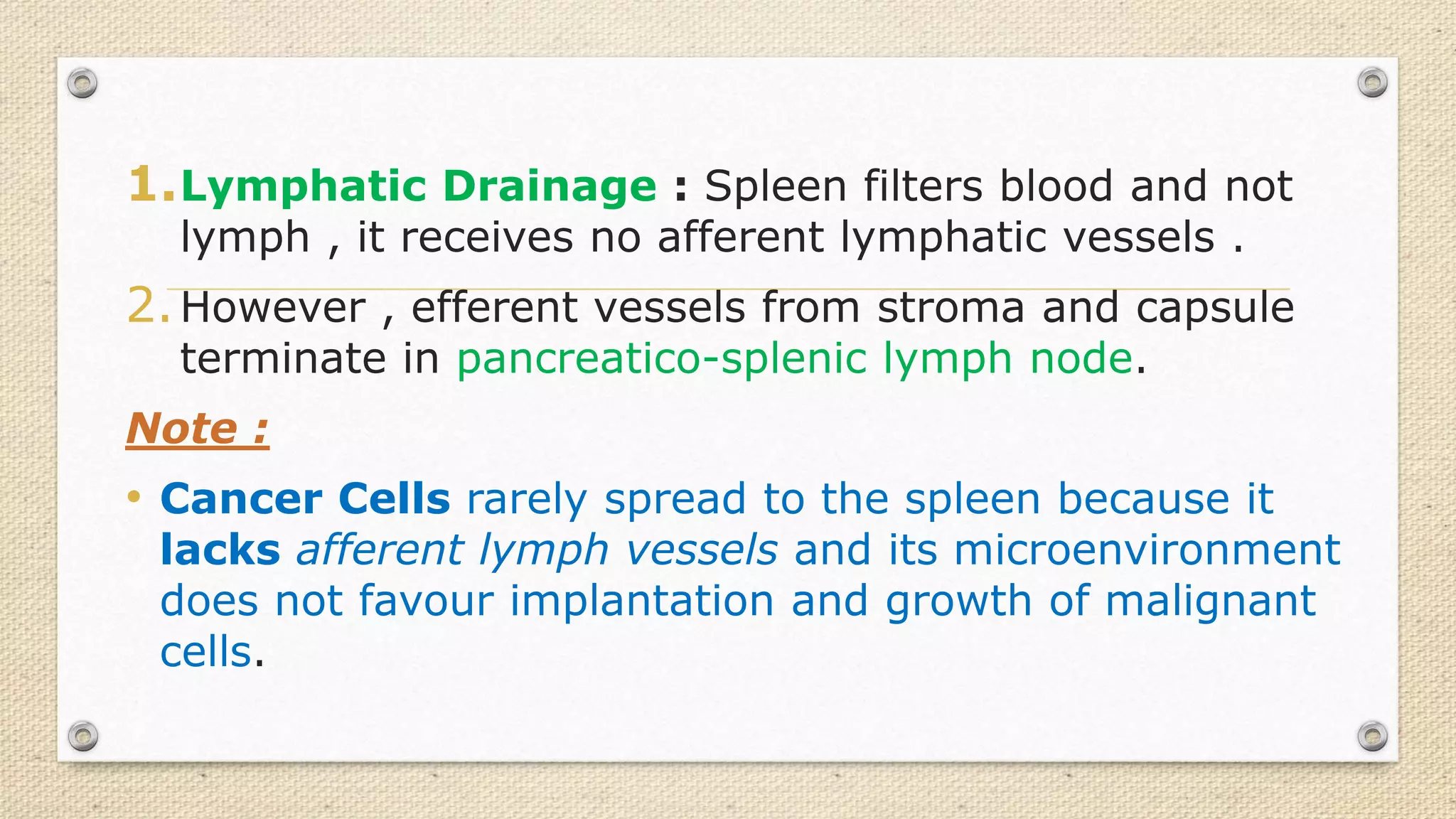Anatomy of spleen | PPTX