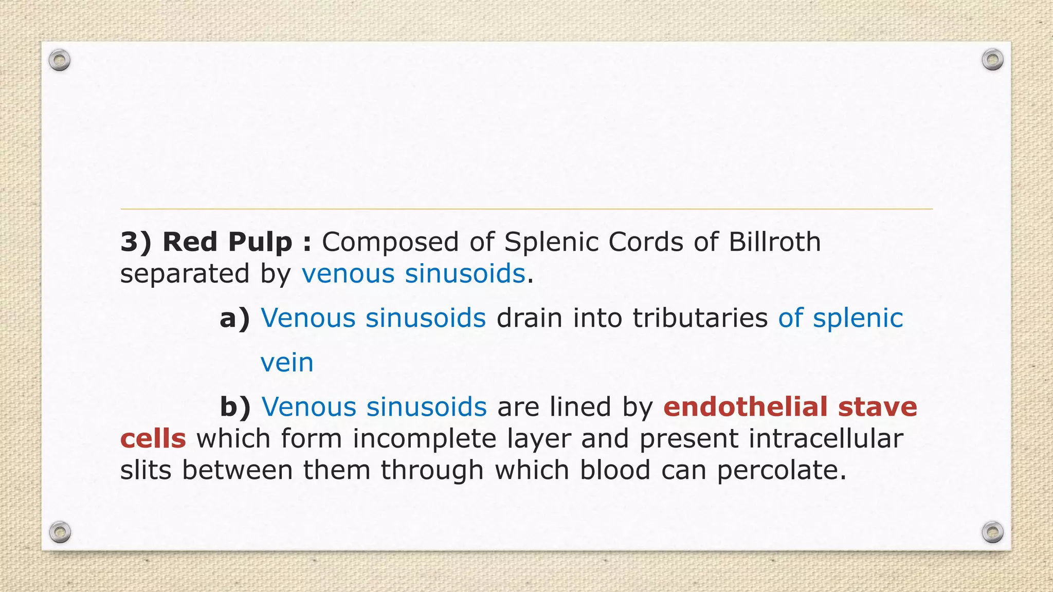 Anatomy of spleen | PPTX