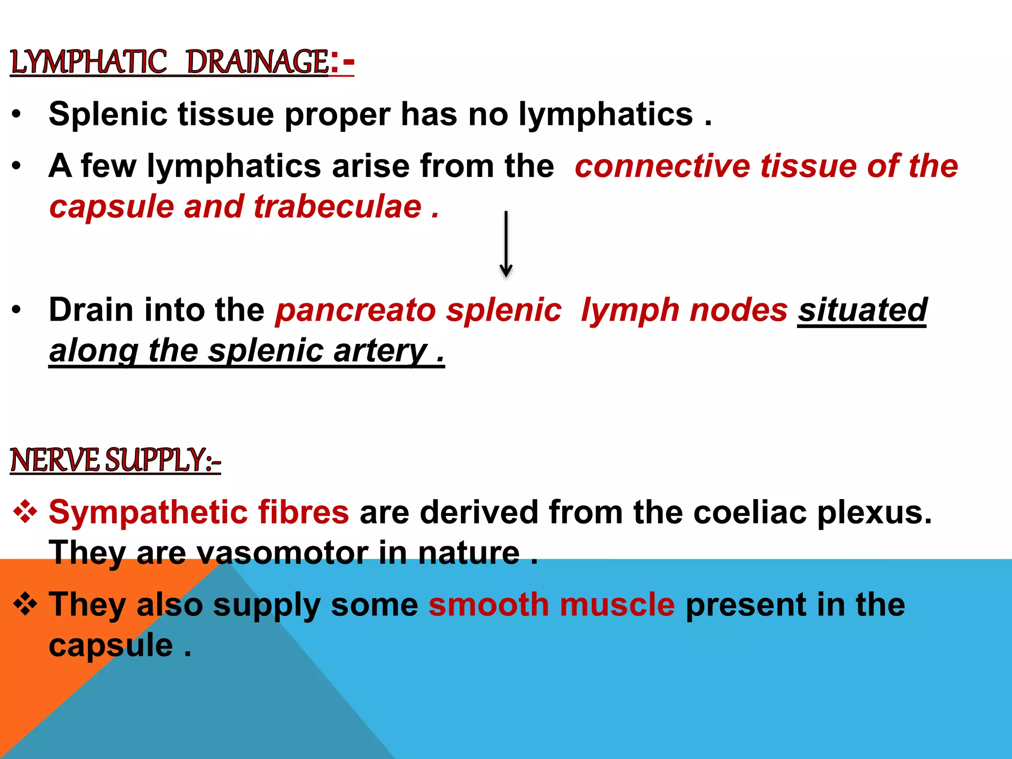 Anatomy of spleen | PPTX